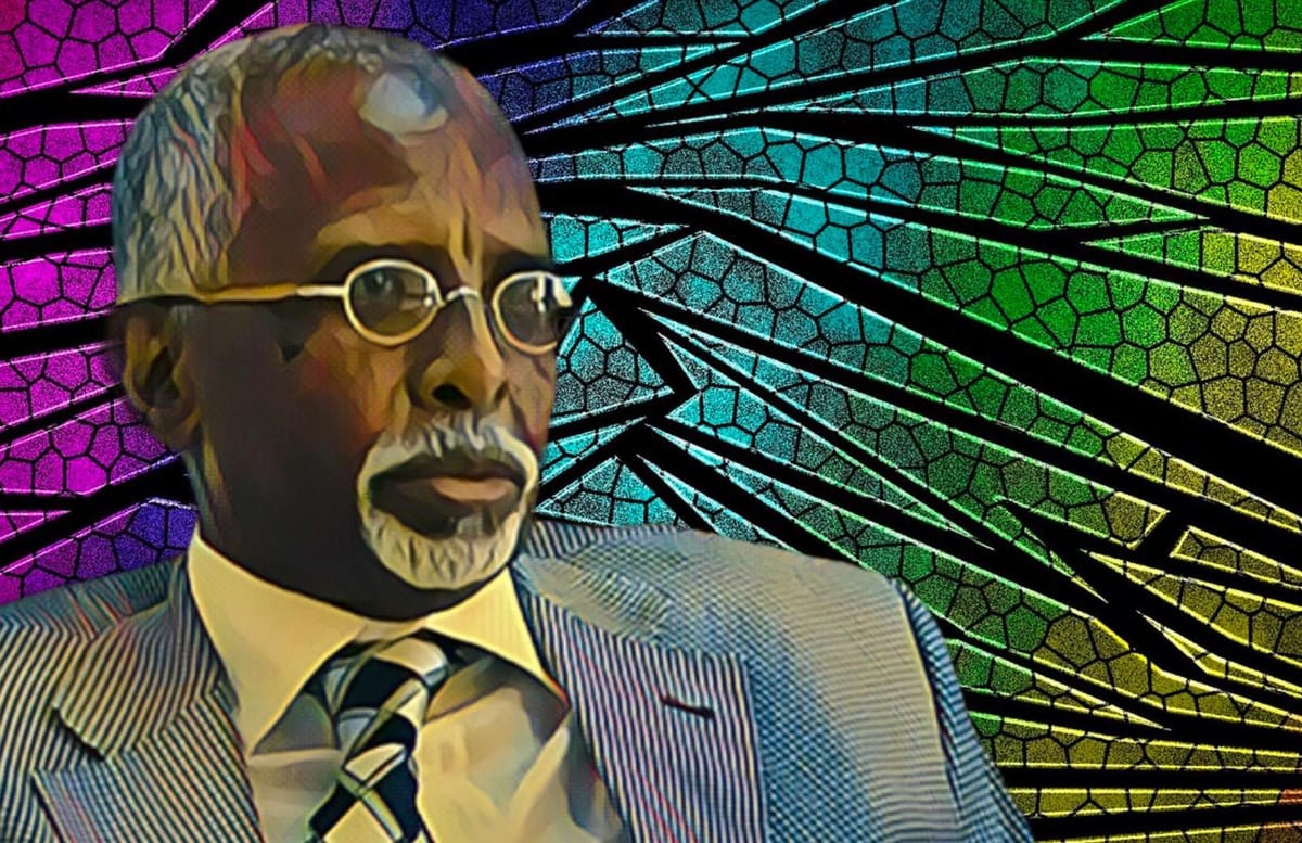 Kenyan tycoon Ahmed Hashi’s Hashi Energy announces major asset sale to ...